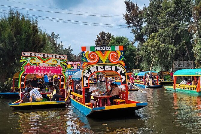 Mexico City: Xochimilco, Coyoacán and University City Tour - The Value and Practical Considerations