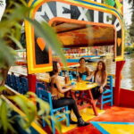 Mexico City Xochimilco Tour (Private & All-Inclusive) - Discovering Coyoacan: A Neighborhood Full of Stories