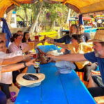 Mexico City: Xochimilco Trajinera Party, Mariachi & Drinks - Final Thoughts: Is It Worth It?