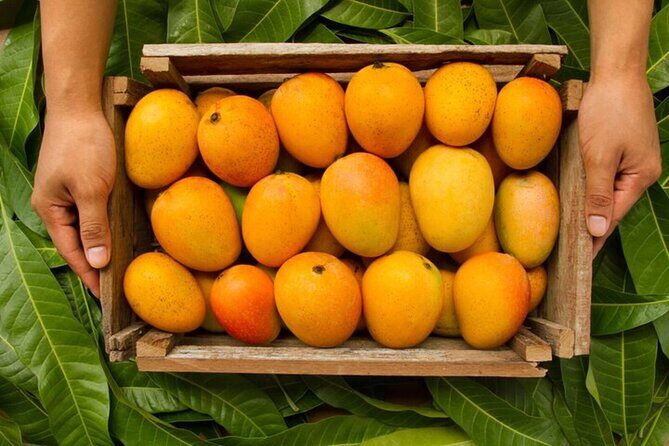 Mexico's Tropical Fruit Guided Tasting in Mexico City - The Sum Up