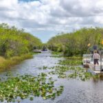 Miami Beach: Everglades Airboat Tours and Rides - Key Points