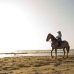 Miami: Beach Horse Ride & Nature Trail - The Guides and Horses: What Makes This Stand Out?