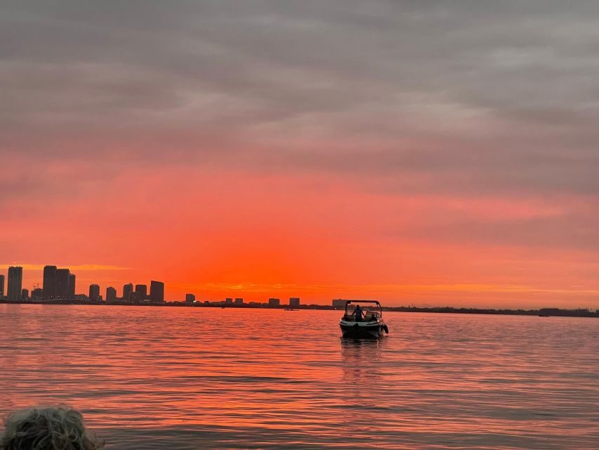 Miami Beach: Spectacular Sandbar & Skyline Boat Tour - What’s Included and What’s Not