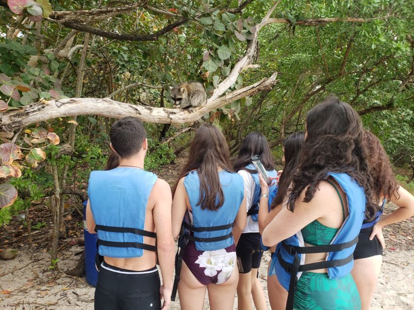 Miami: Beginner-Friendly Island Snorkeling by SUP or Kayak - What to Expect During the Tour