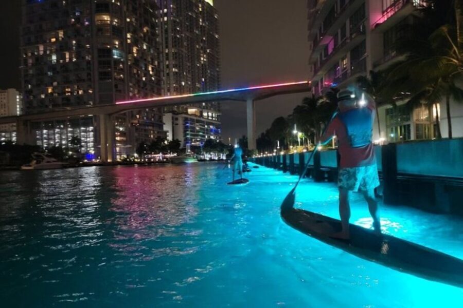 Miami: City Lights SUP or Kayak Night Tour - Authentic Opinions from Participants