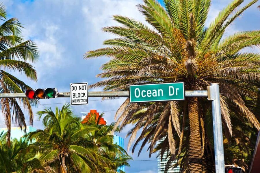 Miami: City Tour with Professional Tour Guide and a comfortable Van or SUV - What Do the Reviews Say?