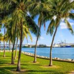 Miami Downtown Highlights Private Guided Walking Tour - The Historic and Cultural Layers of Downtown Miami