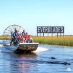 Miami: Everglades Airboat Alligator Tour with Transfer - An In-Depth Look at the Everglades Airboat Tour