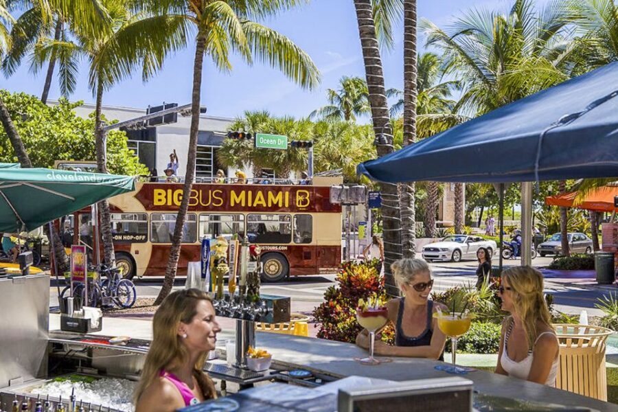 Miami: Everglades Experience, Bay Cruise & Open-Top Bus Tour - What Makes This Tour Stand Out?