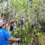 Miami: Everglades National Park Hiking and Kayaking Day Trip - Analyzing the Value