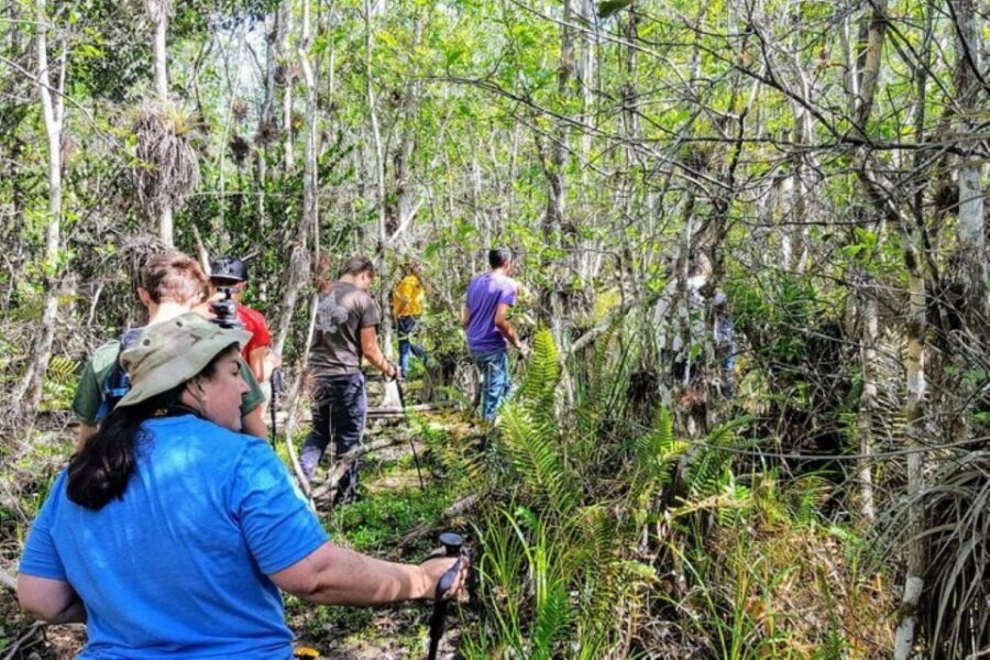 Miami: Everglades National Park Hiking and Kayaking Day Trip - Analyzing the Value