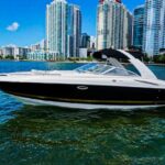 Miami: Exclusive Private Boat Guided Tour - Who Should Book This Tour?