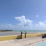 Miami: Full-day tour of the Keys in a convertible Mustang in French - FAQs