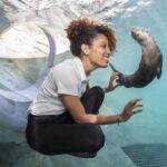 Miami: Go City Explorer Pass - Choose 2 to 5 Attractions - Authentic Experiences and Authenticity
