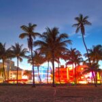 Miami: Half-Day City and Boat Tour - The Value of this Tour