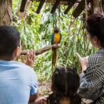 Miami: Jungle Island General Admission - What’s Included in Your Ticket