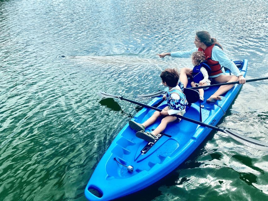 Miami: Manatee Season Paddleboard or Kayak Tour - Who Will Love This Tour?