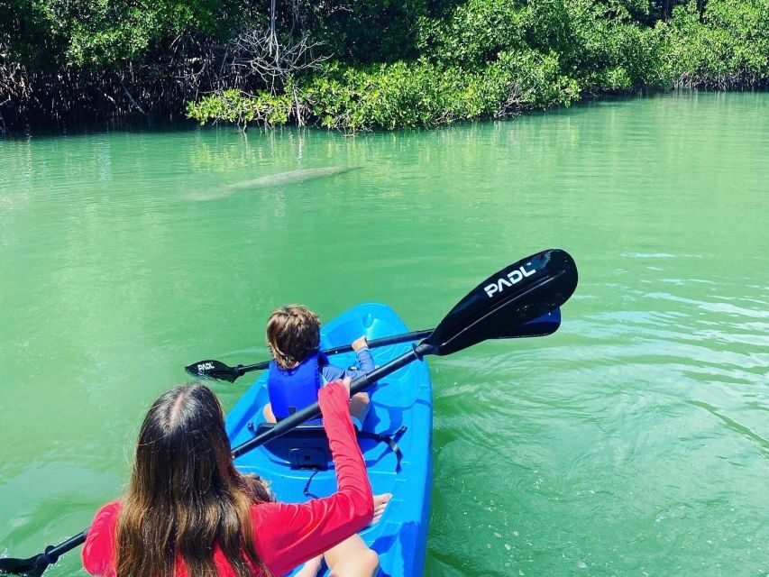 Miami: Paddle Board or Kayak Rental in Virginia Key - Who Is This Tour Best For?