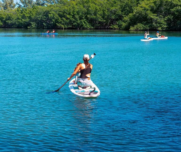 Miami: Paddle Board or Kayak Rental - PADL Beach Club - What to Expect on Your Paddle Adventure