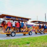 Miami Pedal Pub: Arts District Party Bike Pub Crawl - Who Will Love This Tour?