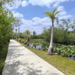Miami: Private tour of the Everglades in French in a convertible Mustang - Final Thoughts: Is This Tour Right For You?