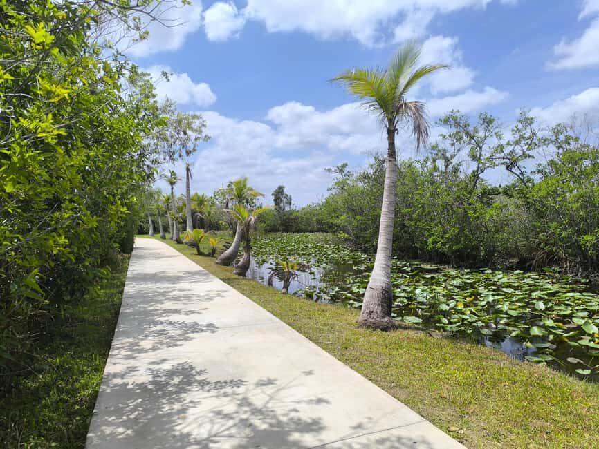 Miami: Private tour of the Everglades in French in a convertible Mustang - Final Thoughts: Is This Tour Right For You?