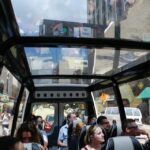 Miami Sightseeing Tour in a Convertible Bus (French) - The Experience: Comfort, Convenience, and Cultural Insights