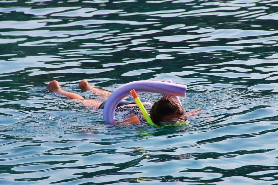 Miami Snorkeling for Beginners from Bayside Market Place - The Value of This Tour