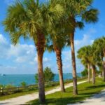 Miami: Visit to the Lighthouse - Key Biscayne - Brickell - Analyzing the Value