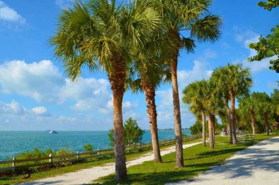 Miami: Visit to the Lighthouse - Key Biscayne - Brickell - Analyzing the Value