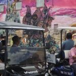 Miami: Wynwood Graffiti Brewery Golf Cart Tour - Who Will Love This Tour?