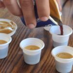 Miami's Little Havana Food and Walking Tour - The Experience: Highlights and Shortfalls