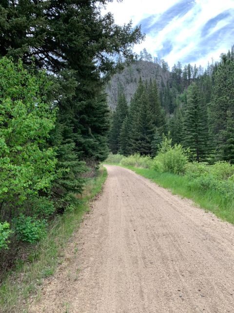 Mickelson Trail: 20-Mile Private Bicycle Tour - The Value of This Tour