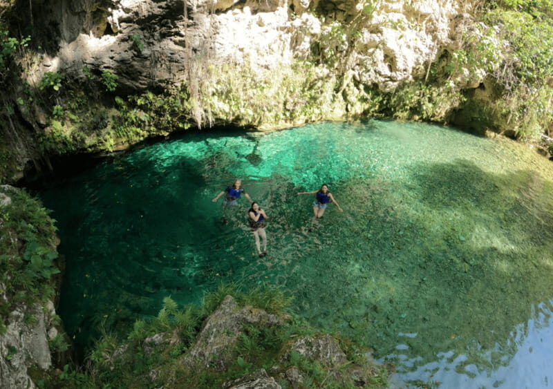 Micos and El Aguacate waterfalls: a nature tour. - What We Like About This Tour