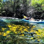 Midday Meander - Kealakekua Bay Kayak and Snorkel Adventure - Practical Details
