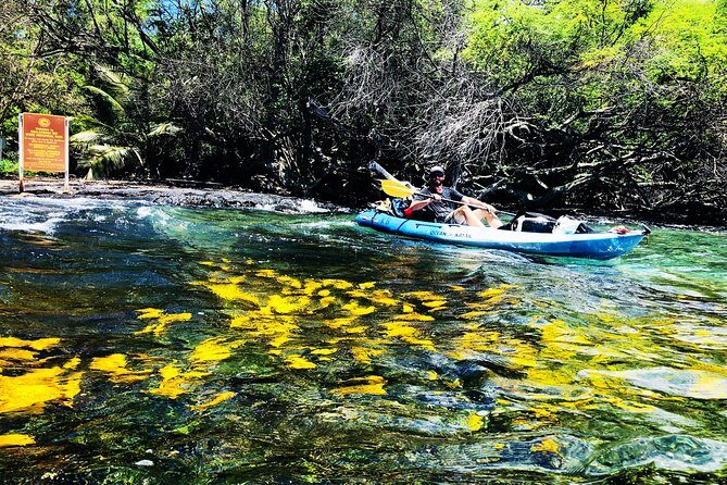 Midday Meander - Kealakekua Bay Kayak and Snorkel Adventure - Practical Details