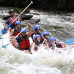 Middle Ocoee River Whitewater Rafting Trip - Most Popular - What to Expect from the Middle Ocoee River Whitewater Rafting