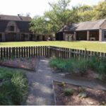 Middleton Place Plantation Tour - A Deep Dive into the Experience