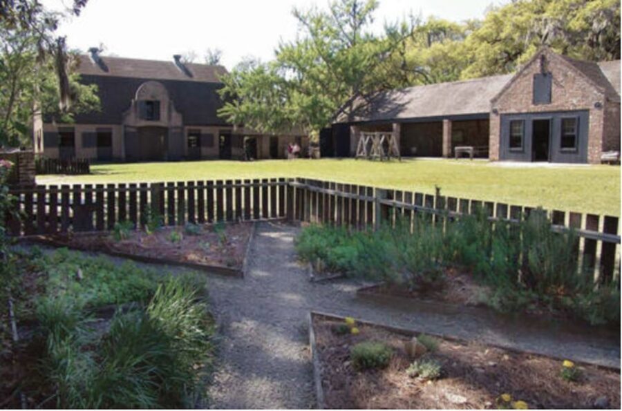Middleton Place Plantation Tour - A Deep Dive into the Experience