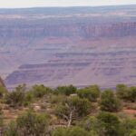 Moab: Dead Horse Point Singletrack Mountain Biking Tour - Navigating the Logistics and Physical Expectations