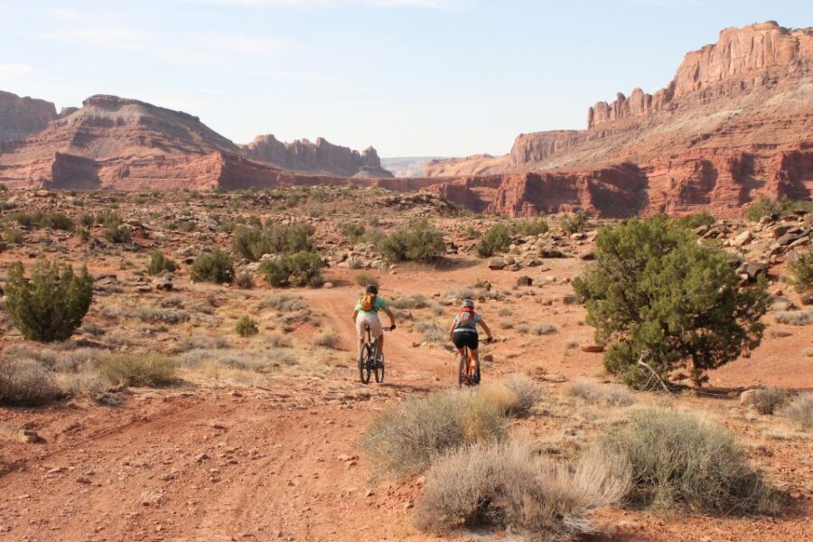 Moab: Mountain Bike Half Day Tour - Authentic Reviews and What Travelers Say