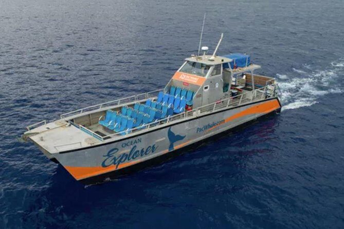 Molokini & Turtle Adventure: Small Group from Ma'alaea Harbor - What Real Travelers Say