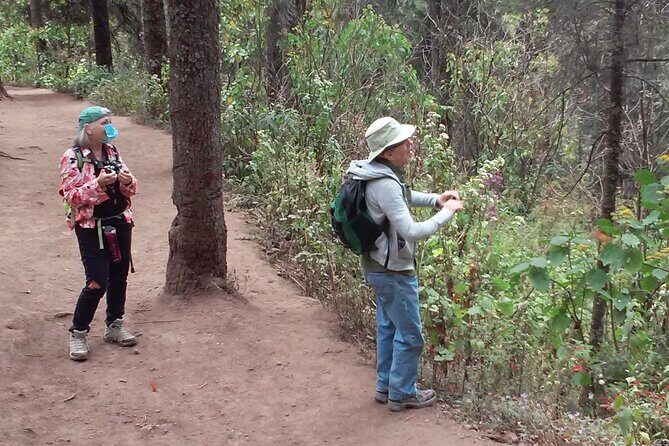 Monarch Butterfly group tour. Join me to watch #butterflies - Detailed Breakdown of the Itinerary