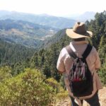Monarch Butterfly Tour from Mexico City - Who Should Consider This Tour?