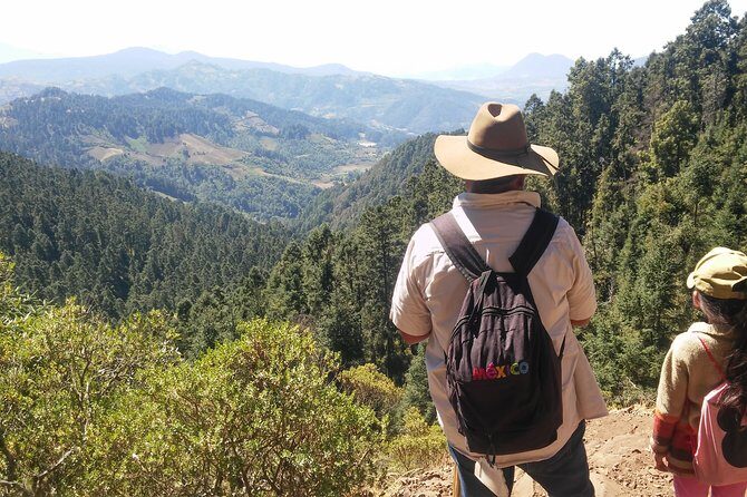Monarch Butterfly Tour from Mexico City - Who Should Consider This Tour?