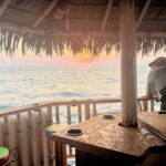 Monday & Thursday Nights Harbor Lights Tiki Tour - Pricing and Value