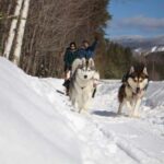 Mont-Tremblant: Dogsledding Nordic Adventure - Frequently Asked Questions