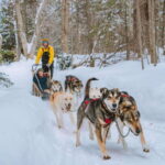 Mont-Tremblant: Dogsledding Upper Laurentians - The Value of This Experience