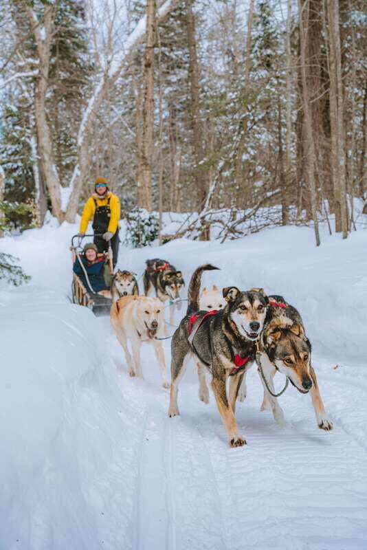 Mont-Tremblant: Dogsledding Upper Laurentians - The Value of This Experience