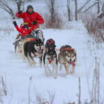 Mont-Tremblant: Dogsledding Valley Adventure - Analyzing the Value and Experience